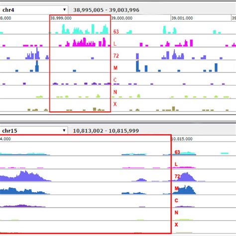 A Resistant Methylated Marker And A Susceptible Methylated Marker Download Scientific Diagram