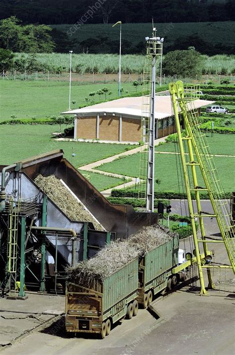 Biofuel Production Brazil Stock Image C0105660 Science Photo