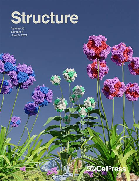 Cover Archive Structure