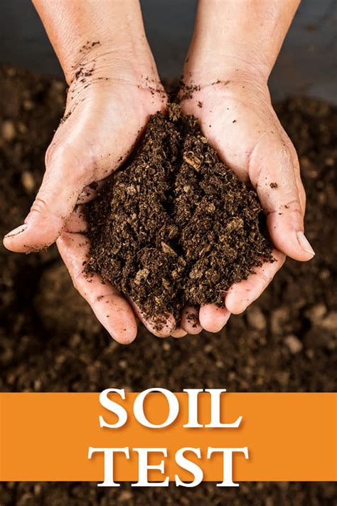 Understanding Soil Types And Soil Texture Test Your Own
