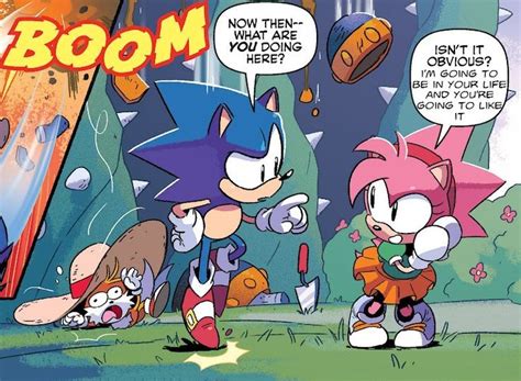 Amy Introduces Herself To Sonic As Tails Proceeds To Die In The Background Artofit