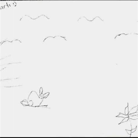 A Drawing Example Does Not Contain The Abiotic Components Download