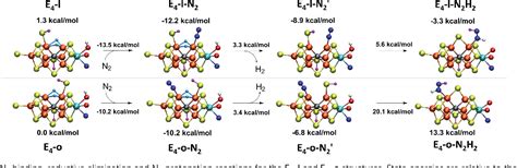 Figure 6 From A Model For Dinitrogen Binding In The E4 State Of