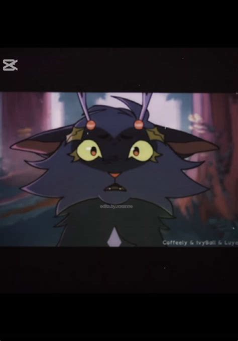 Hollyfawn The Ultimate Warrior Cats Edit Tiktok