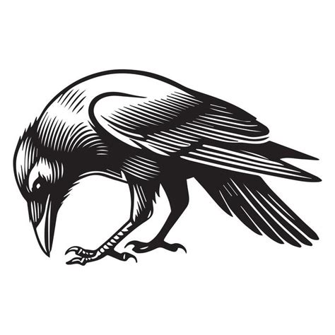 Dead Crow Vector Art Icons And Graphics For Free Download