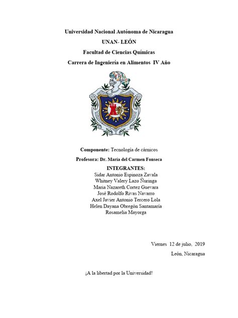 Formulacion De Sal Cura Pdf Curado Conservación De Alimentos Sal