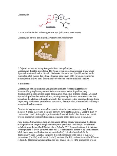 Lincomycin Asal Sejarah Penemuan Biosintesis Isolasi Dan Mekanisme