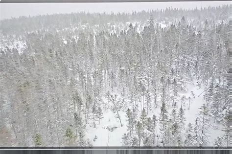 Drone Crashed Rdrones