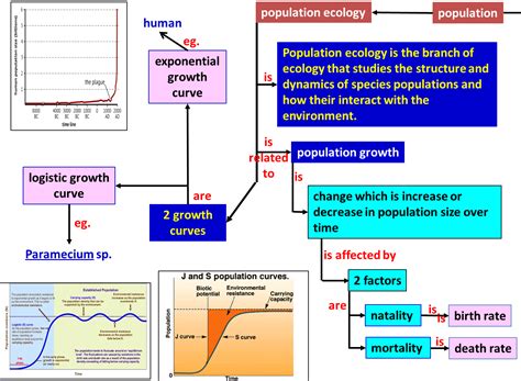 Biology Is To Serve Mankind 22 Ecology