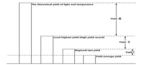Definition Of Crop Yield Potential And Yield Difference Li Shaokun