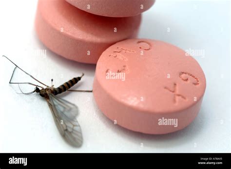 Anti Malaria Tablets Malarone With Mosquito In Close Up Made By Glaxo
