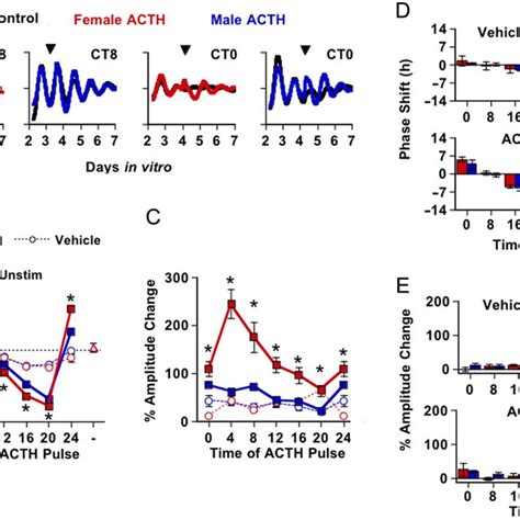 Sex Differences In The Intrinsic Response Of The Adrenal Clock To Acth Download Scientific