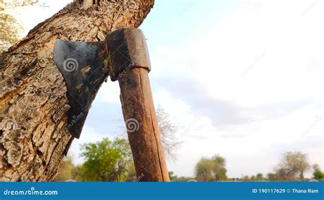 Cutting Tree By Ax Close Up View Stock Image Image Of Outdoors Cutting 190117629