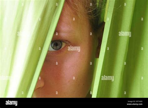 Lœil Humain Organe Sensoriel De La Perception Visuelle Organe De La