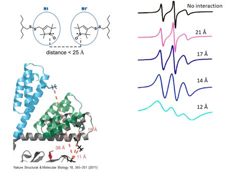 Epr Electron Paramagnetic Resonance Spectroscopy Sip Shared