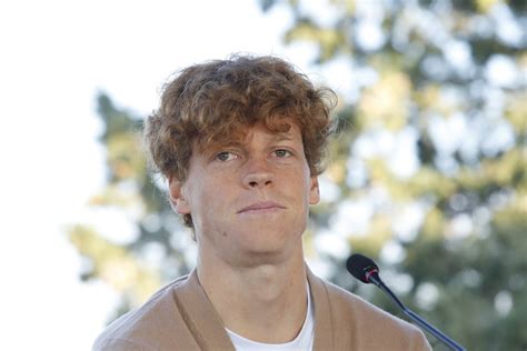 Chi Sono I Membri Del Team Sinner