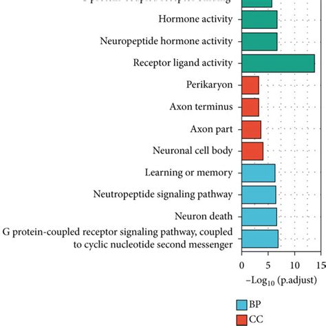 Gene Expression Differential Analysis And Potential Functional