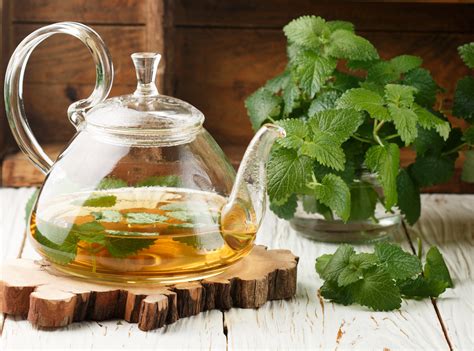Melissa Officinalis Tea