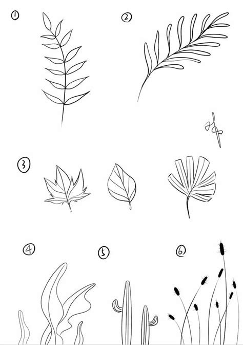 「推薦」植物怎麼畫？非常全面的教你常見植物的繪畫技巧 每日頭條