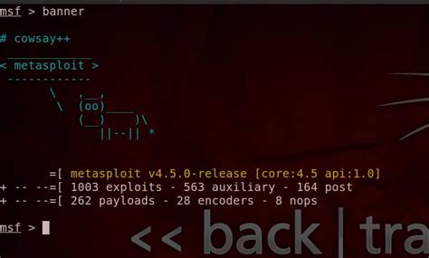 Computer Knowlegde Metasploit Tutorial P1