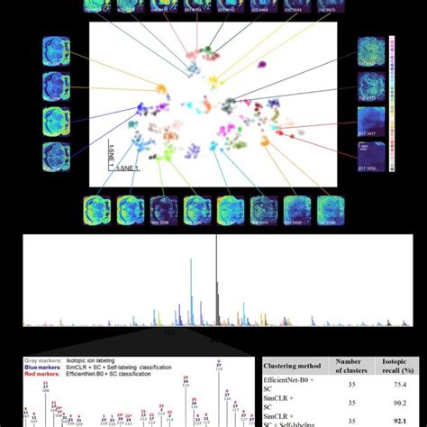 Self Supervised Clustering Results On A Publicly Available Maldi Mouse Download Scientific