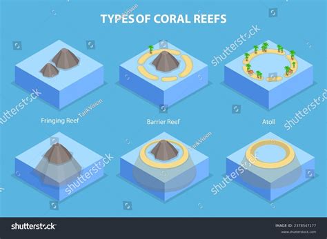 Fringing Reef Diagram Fringing Reef Diagram Photos Images And Pictures