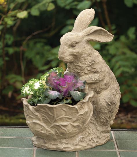 Bunny Cabbage Planter Charleston Gardens