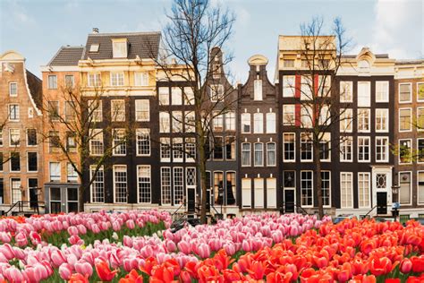 Tudo Sobre A Holanda Visitar Holanda Tudo Que Precisa Para Viajar