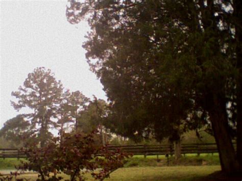 Jayla Berry Jaylaberry Twitter