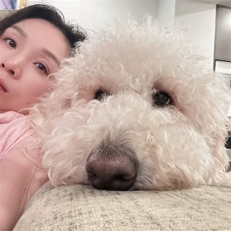 Jana Yang Holymom Jana Threads Say More