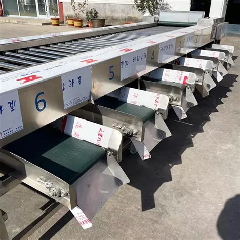 Potato Sorting Machine Potato Sweet Potato Grading Machine Kiwi Fruit And Vegetable Sorting