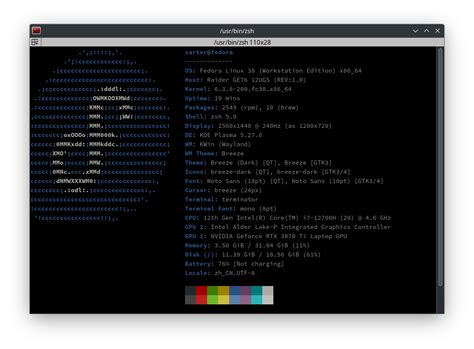 No Logo When Starting Via Zshrc · Issue 485 · Fastfetch Clifastfetch