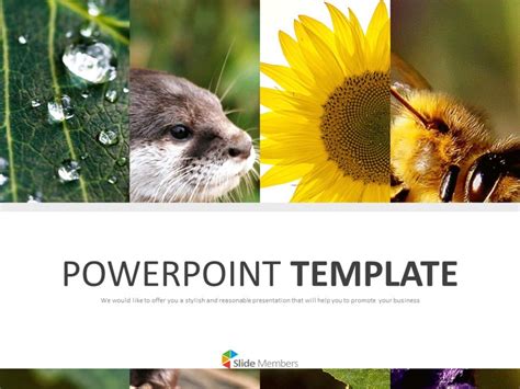 Free PPT Template Coexistence With Nature