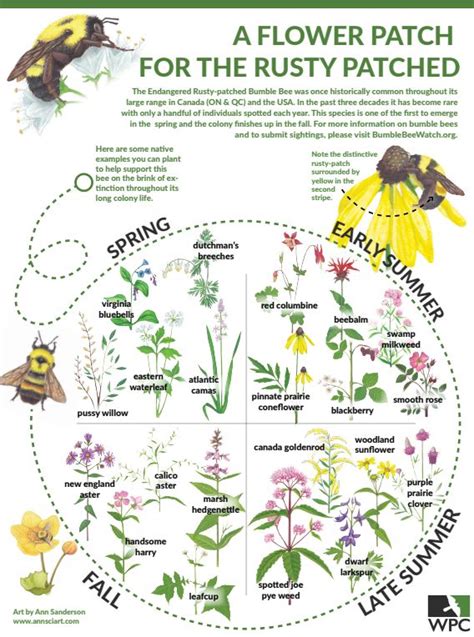 Wondering How You Can Make A Buzz Worthy Impact On Bumble Bee