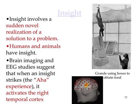 Ppt Thinking And Language Chapter 9 Powerpoint Presentation Free
