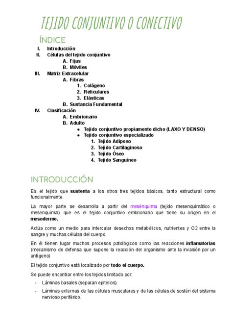 Tejido Conectivopdf