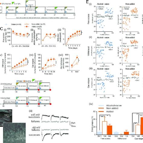 Anna Beroun Group Leader Phd Nencki Institute Of Experimental Biology Warsaw Nencki