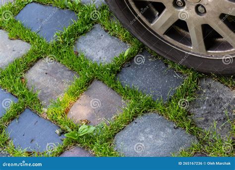 Pavement And Grass Background Royalty Free Stock Image Cartoondealer