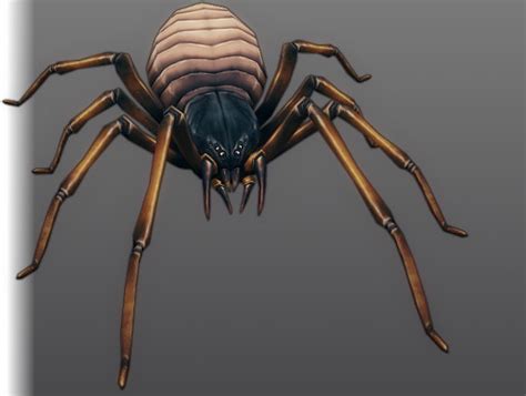 Stylized Animated 3d Spider 3d 생물 Unity Asset Store