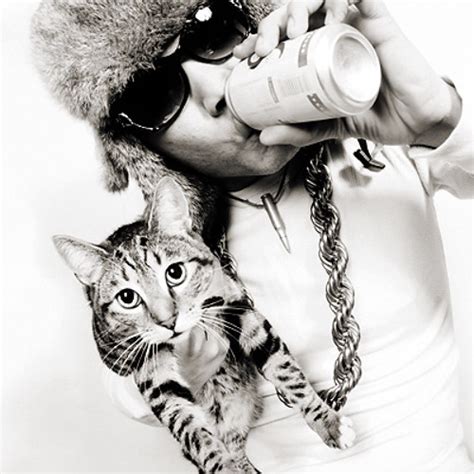 Stream This Is Not A Song This Is Sex Big Ballin Tony Z Mango Dunks