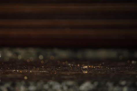 Exploring The Global Termite Population Insights And Implications