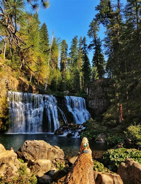 Share The Experience Shasta Trinity National Forest