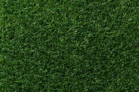 3 Hundred Artificial Grass Application Royalty Free Images Stock