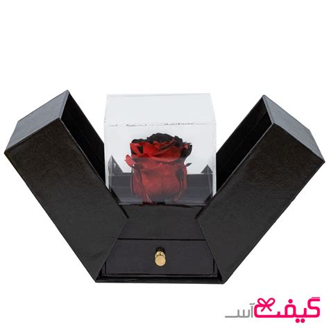 رز جاودان موزیکال مدل رویال مشکی