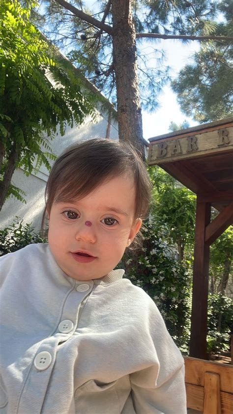 13 Little Known Facts About Geranium And Pelargonium Plants Container