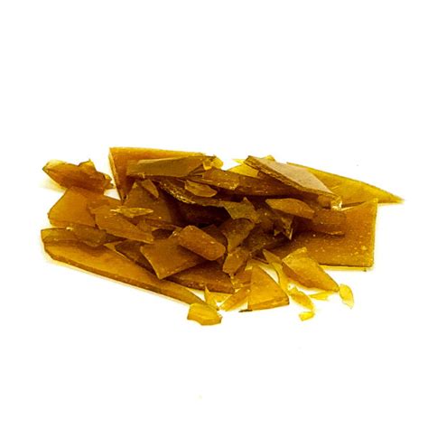 Bufo Toad Venom For Sale Bufo Alvarius Toad 100 Pure