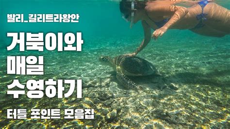 퇴사 여행 Vlog 길리트라왕안 드디어 만난 거북이 일주일 스노클링 모음집 Youtube