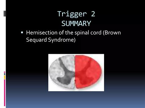Case Hemisection Of The Spinal Cord Pptx