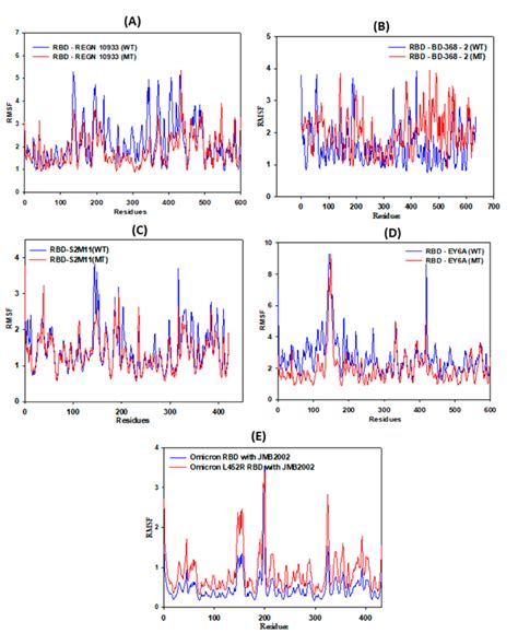 the root mean square deviation rmsd of wild type wt and mutant type