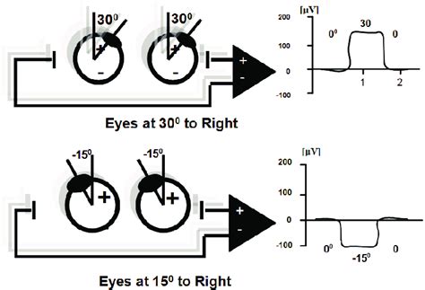 A Sample Electrooculogram Eog Download Scientific Diagram